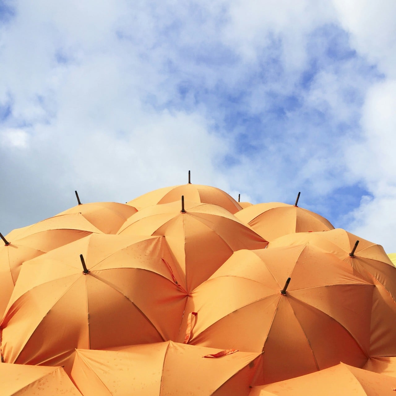 Allianz Global Insurance Report 2025: Rising demand for protection ...